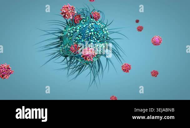 A dendritic cell is a key immune cell that detects viruses, captures ...