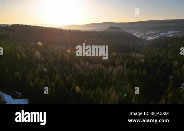 Aerial view of a forest in early spring nature during sunrise. The ...