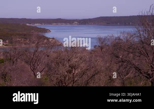 A serene view of a coastal landscape with calm waters and a distant ...
