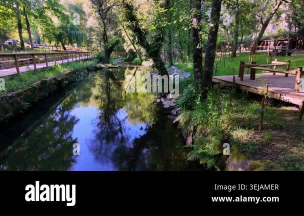 A peaceful river winds through a lush green park featuring wooden ...