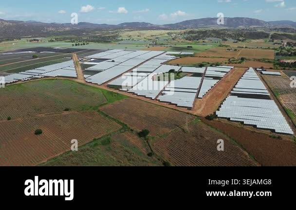 Cinematic Aerial Drone Overflight of Vast Blue Agave Plantations and ...