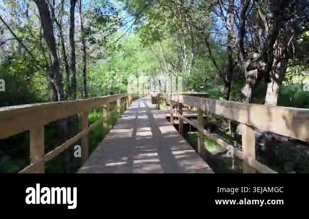 A scenic wooden boardwalk emerges from underneath a modern concrete ...