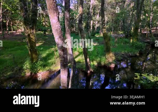 Slow motion tracking shot of a peaceful small river winding through a ...
