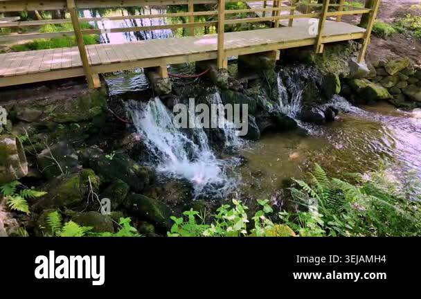 Scenic view of a wooden pedestrian bridge over a small cascading ...