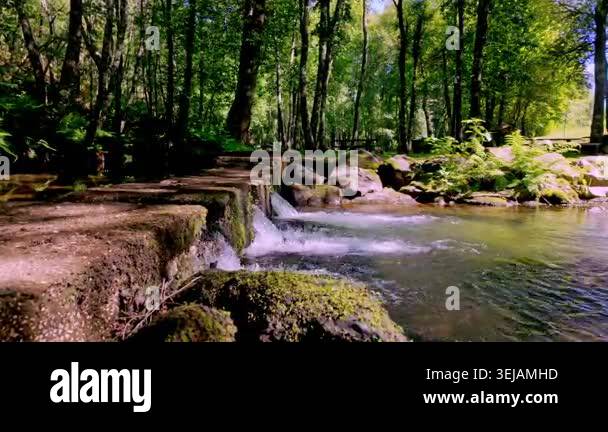 A clear river flows through a vibrant green forest where a low stone ...