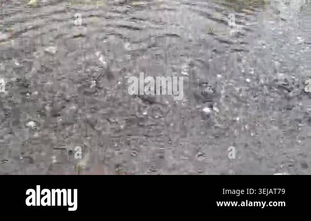 Heavy rain falling on a wet ground, creating ripples and splashes. The ...