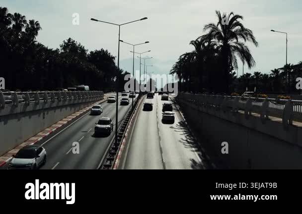Traffic flow on tropical city highway lined with palm trees at sunset ...