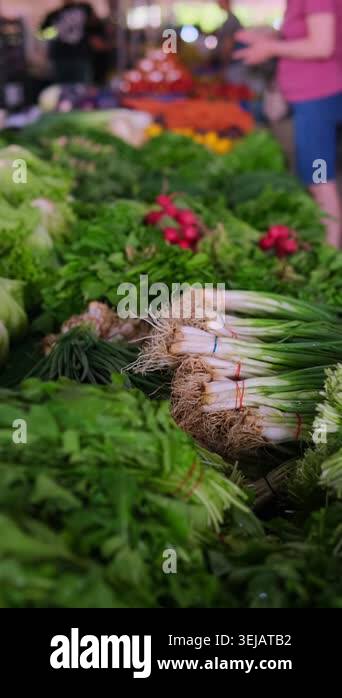 Bunches of fresh herbs and celery lined on market table, vibrant green ...