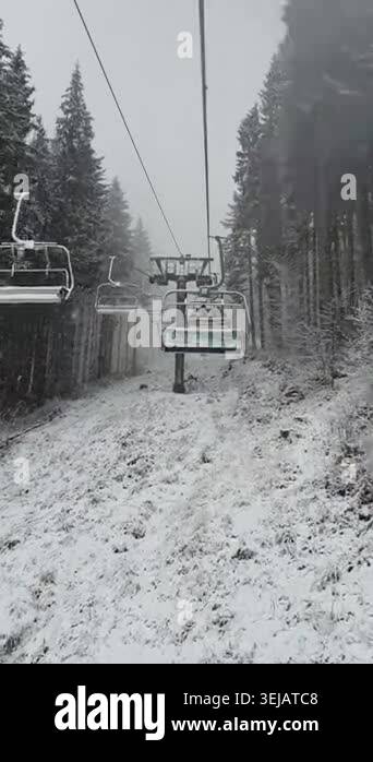 POV: riding up in a ski lift between pine trees. Ski resort in winter ...