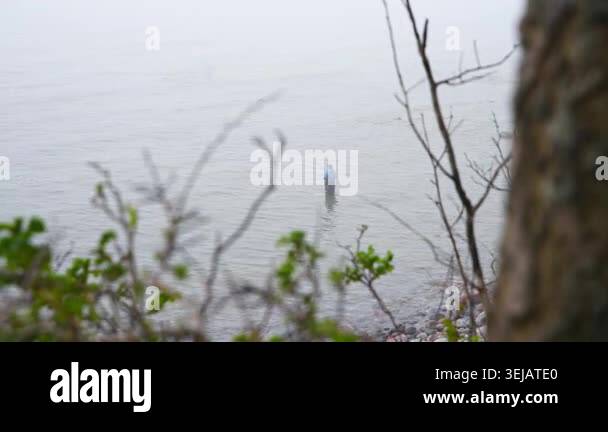 Fisherman in blue jacket wading in serene lake water amidst early ...