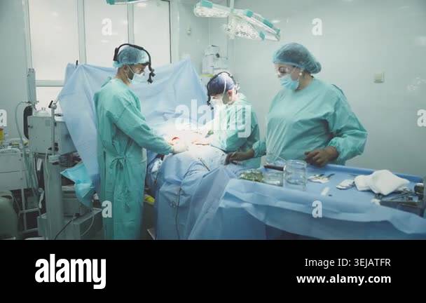 Team of medical doctors physicians surgeons two men with woman nurse ...