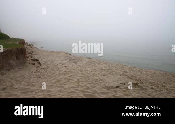 Coastal scene featuring sandy beach blending into calm sea obscured by ...