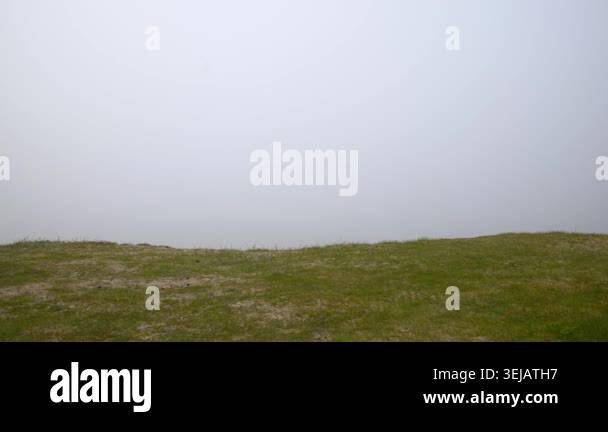 Dense fog envelops seascape creating serene and mysterious atmosphere ...
