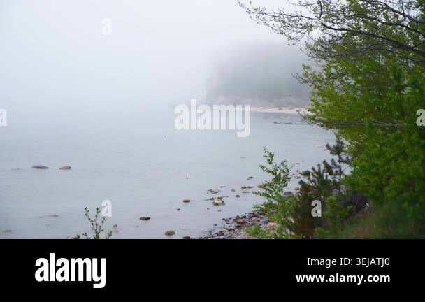 Serene fog envelops calm sea waters along rocky shore lined with ...