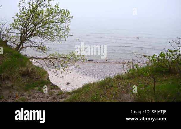 Serene foggy sea envelops tranquil pebble beach and gentle waves beyond ...