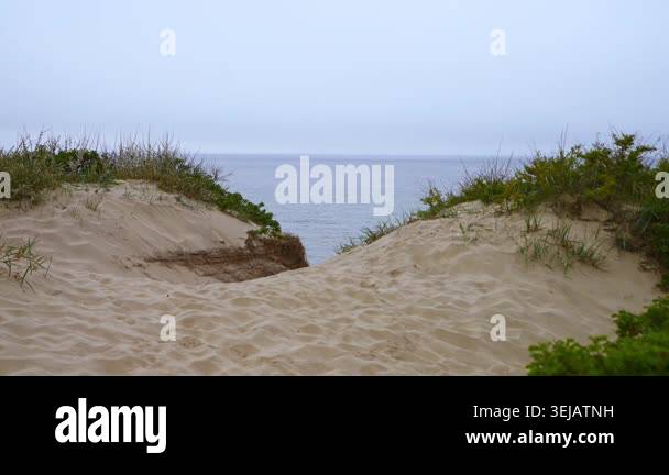 Tranquil sandy dune nestled between grassy green bushes leading to ...