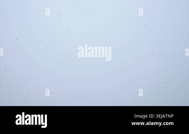 Countless midges swarm dynamically in daylight against soft light blue ...