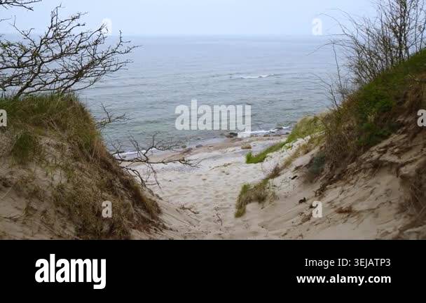 Narrow sandy trail framed by grassy and shrub-covered dunes leads down ...
