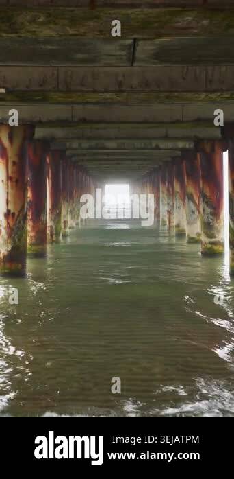 View under pier showing rows of rusted metal pillars submerged in calm ...