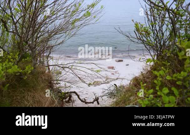 Quiet sandy beach with scattered rocks viewed through natural shrubs ...