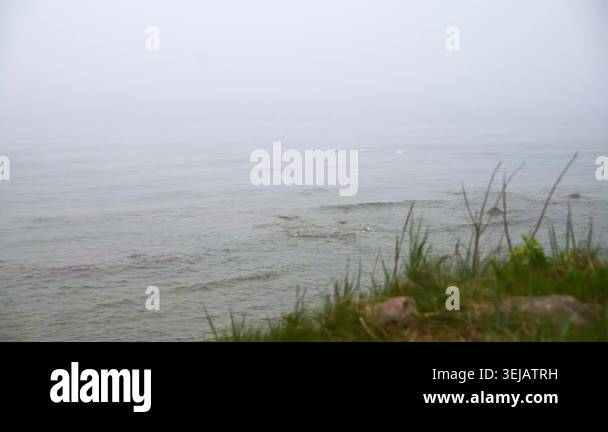 Misty seascape shows faint shapes of swans gliding on calm water under ...
