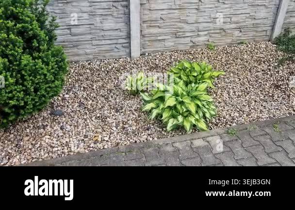 in front of the concrete fence with planks siding there is space for ...