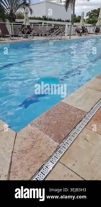 A soccer ball filled with water falls into the pool making a big splash ...