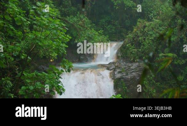 Cascading waterfall surrounded by vibrant green rainforest during rainy ...