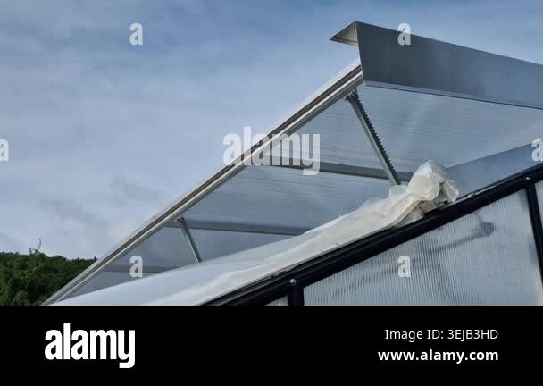 greenhouse or polytunnel with robust black metal frame transparent ...