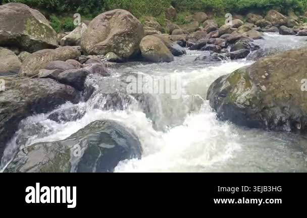 Whitewater is cascading and splashing over rocks in a stream in this ...