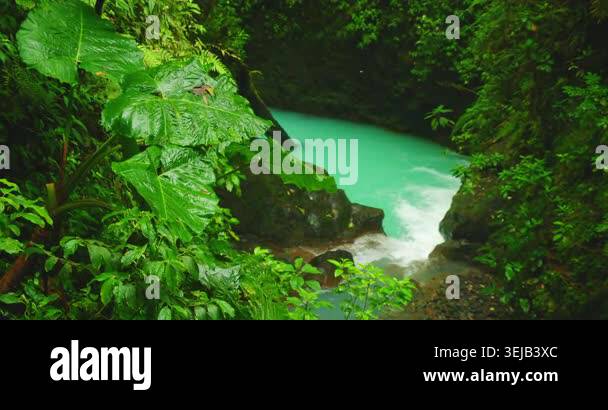 Turquoise rainforest river flowing in Costa Rica surrounded by lush ...