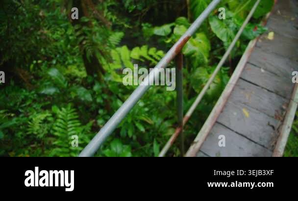 A tourist hand gripping a bridge railing above lush Costa Rica ...