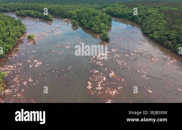 Aerial pull over Rocky Shoal Spider Lilies in bloom on the Catawba ...