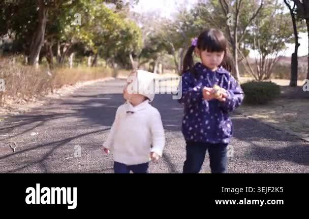 Children crawling through dry leaves outdoors Stock Video Footage - Alamy