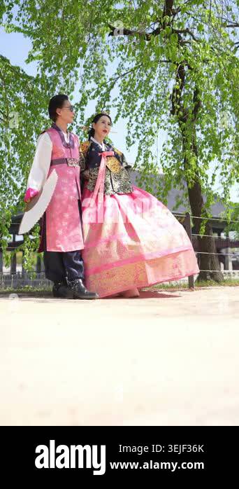 Couple wearing traditional korean hanbok outdoors Stock Video Footage ...