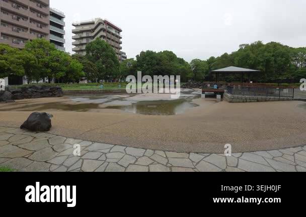 Kiba Park rainy season, Japan Tokyo Stock Video Footage - Alamy