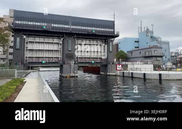 Tokyo Onagigawa River Promenade 2023 Stock Video Footage - Alamy