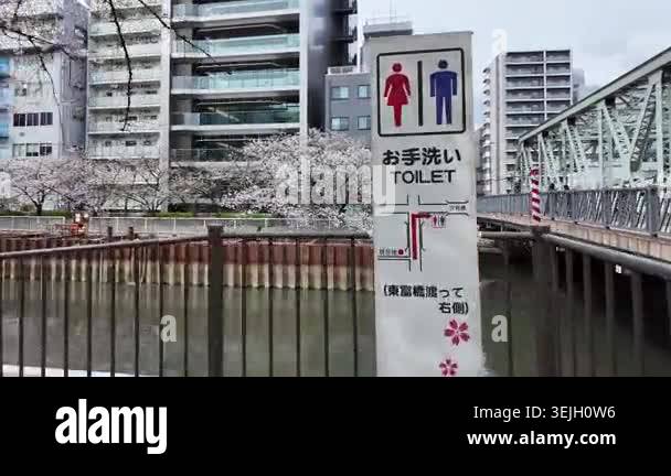 Monzennakacho Cherry blossoms, Japan Tokyo 2024 Stock Video Footage - Alamy
