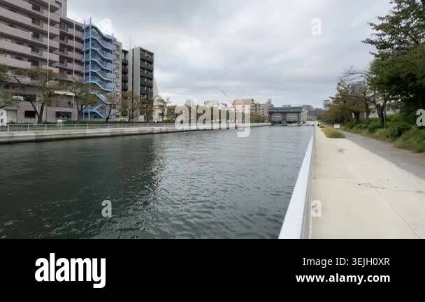 Tokyo Onagigawa River Promenade 2023 Stock Video Footage - Alamy