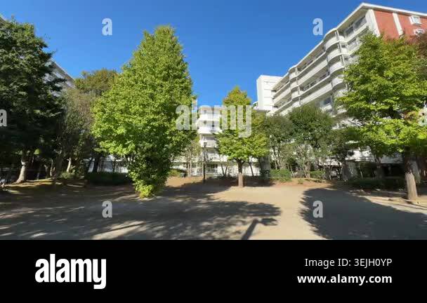 Hikarigaoka Park Autumn leaves, Japan Tokyo 2023 Stock Video Footage ...