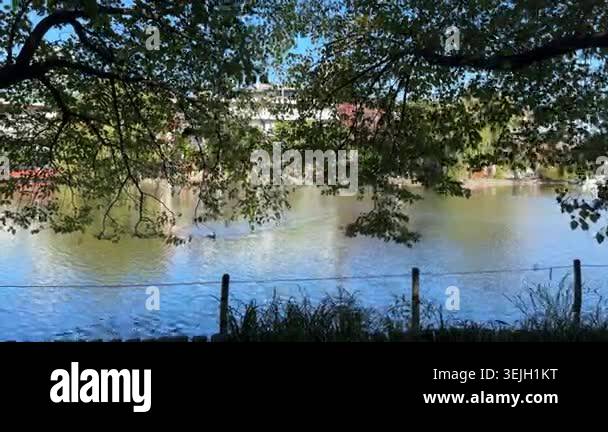 Shakujii Park Landscape, Japan Tokyo 2023 Stock Video Footage - Alamy