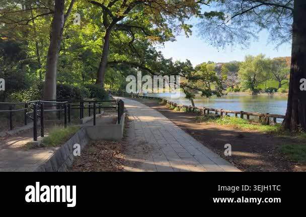 Shakujii Park Landscape, Japan Tokyo 2023 Stock Video Footage - Alamy