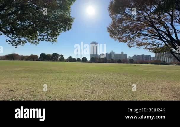 Tokyo Ojima Komatsugawa Park stroll video 2023 autumn Stock Video ...