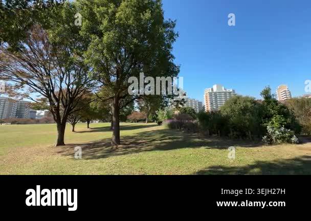 Tokyo Ojima Komatsugawa Park stroll video 2023 autumn Stock Video ...