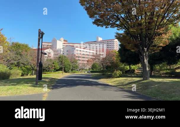 Tokyo Ojima Komatsugawa Park stroll video 2023 autumn Stock Video ...