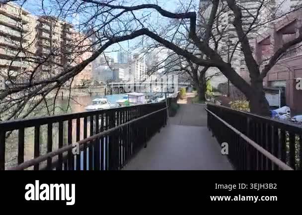 Tsukishima River Promenade January 2024, Japan Tokyo Stock Video ...