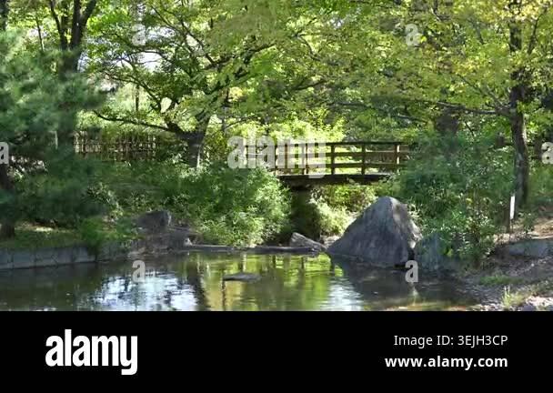 Tokyo Sarue Onshi Park Landscape 2023 Stock Video Footage - Alamy