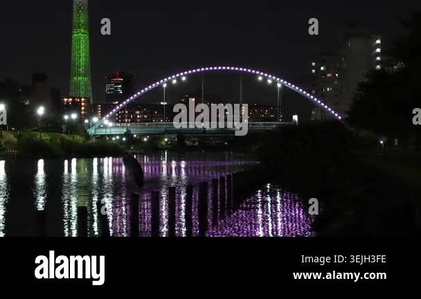 Kameido Night View, Japan Tokyo 2023 Stock Video Footage - Alamy
