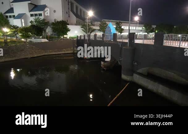 Koto Ward canal river night view, Japan Tokyo Stock Video Footage - Alamy