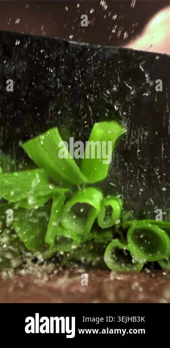 A cook chops green onions. Filmed on a high-speed camera at 1000 fps ...
